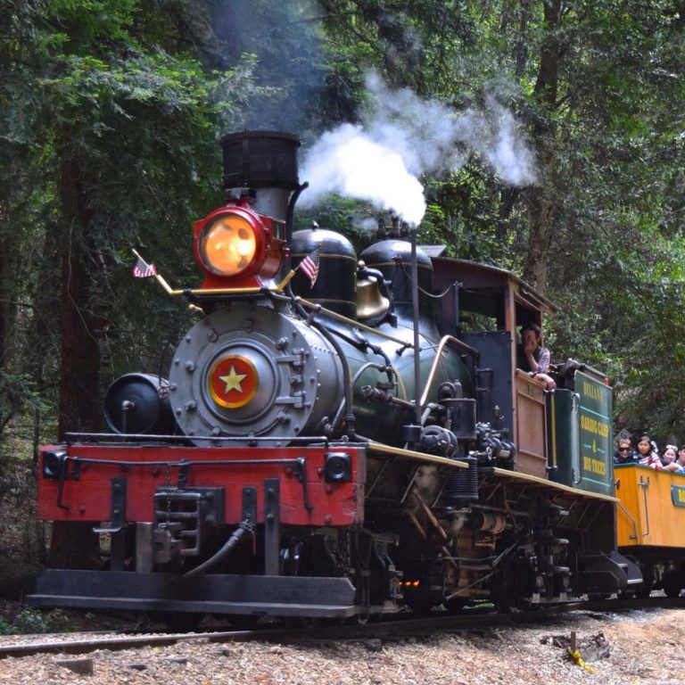 Town of Roaring Camp - Roaring Camp Railroads